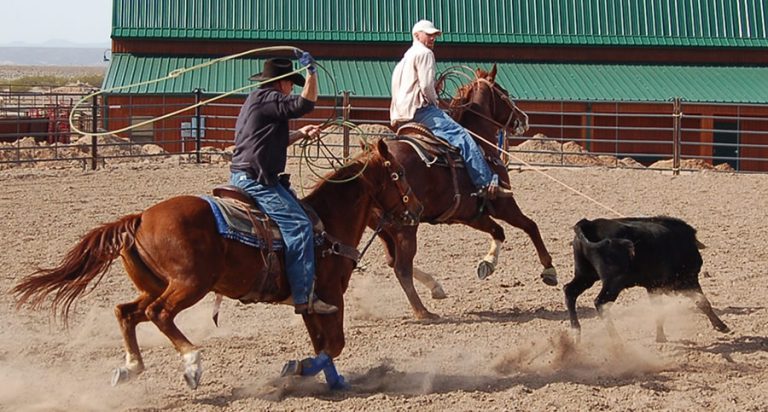 Museum Board Members - New Mexico Farm & Ranch Heritage Museum