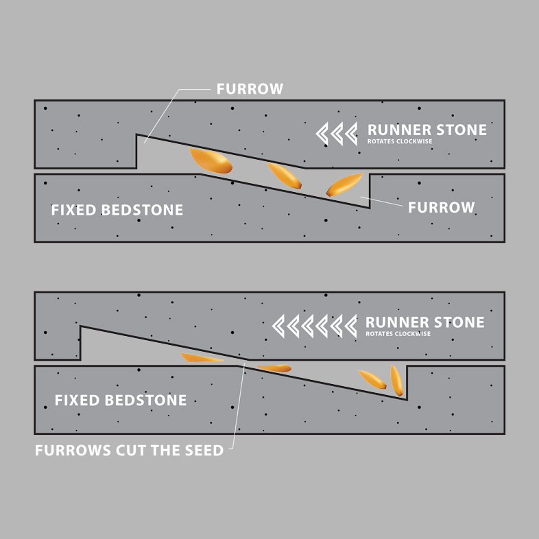 Grist for the Mill New Mexico - An Online Exhibit - New Mexico Farm ...